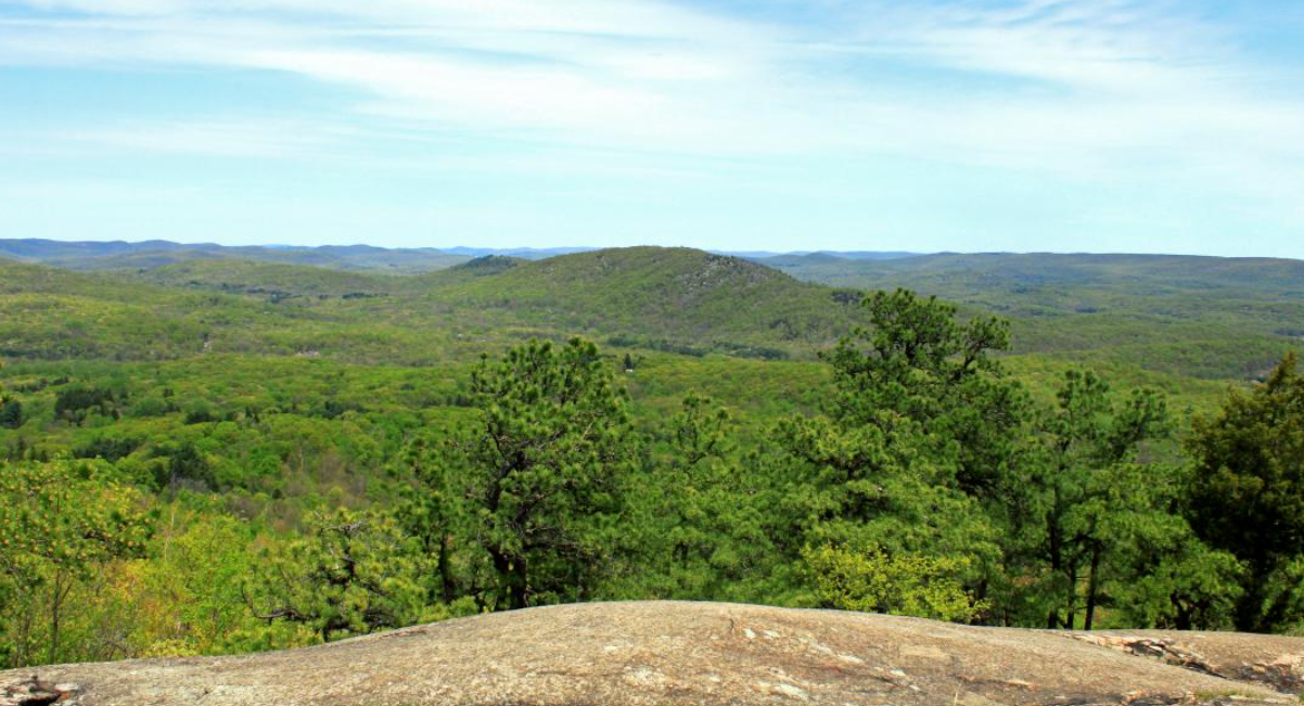 Park - Norvin Green State Forest - New York-New Jersey Trail Conference