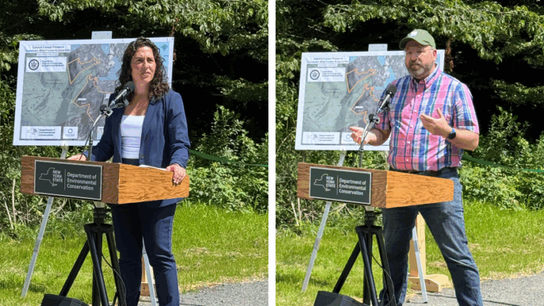 New York Expands Catskill Forest Preserve, Improves Blue Hole - New ...