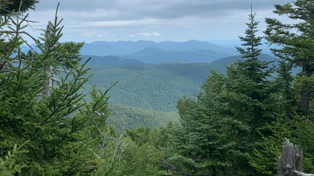 Your Input Wanted: Help Shape the Future of the Catskills' Wildest ...