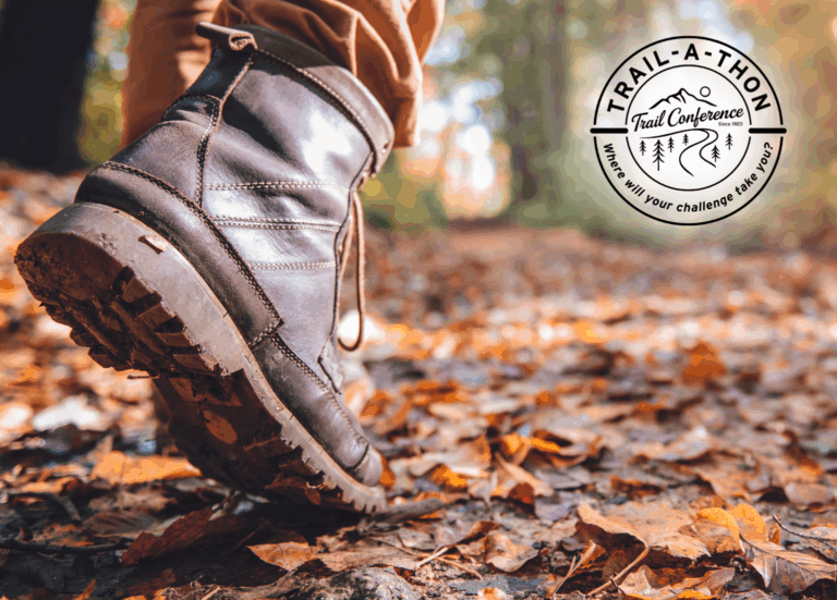Trail-A-Thon: A How-to Guide to Signing Up - New York-New Jersey Trail ...